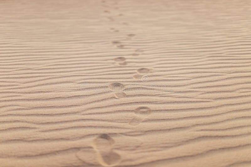Background Image of Footprints on Sand. Stock Image - Image of human ...