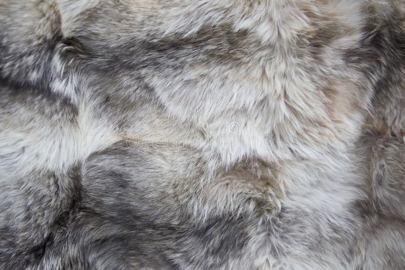 Fur texture. Natural wool stock image. Image of closeup - 167575747