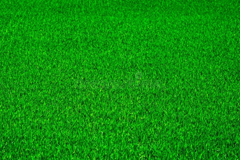Background Image of Green Grass Stock Image - Image of environment ...