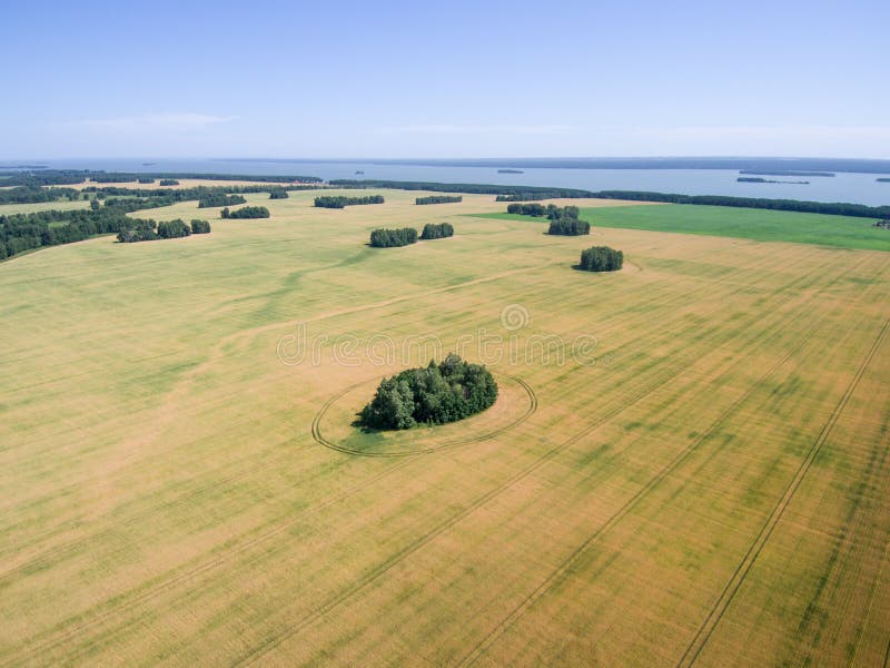 Background Image of Lush Grass Field Use in Presentations Stock Photo ...