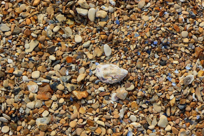 Background Image with a Pebbled Beach and Old Shells Stock Image ...