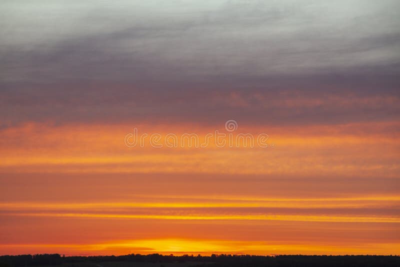 Background Image - Picturesque Sunset Sky and Forest Outline Stock ...