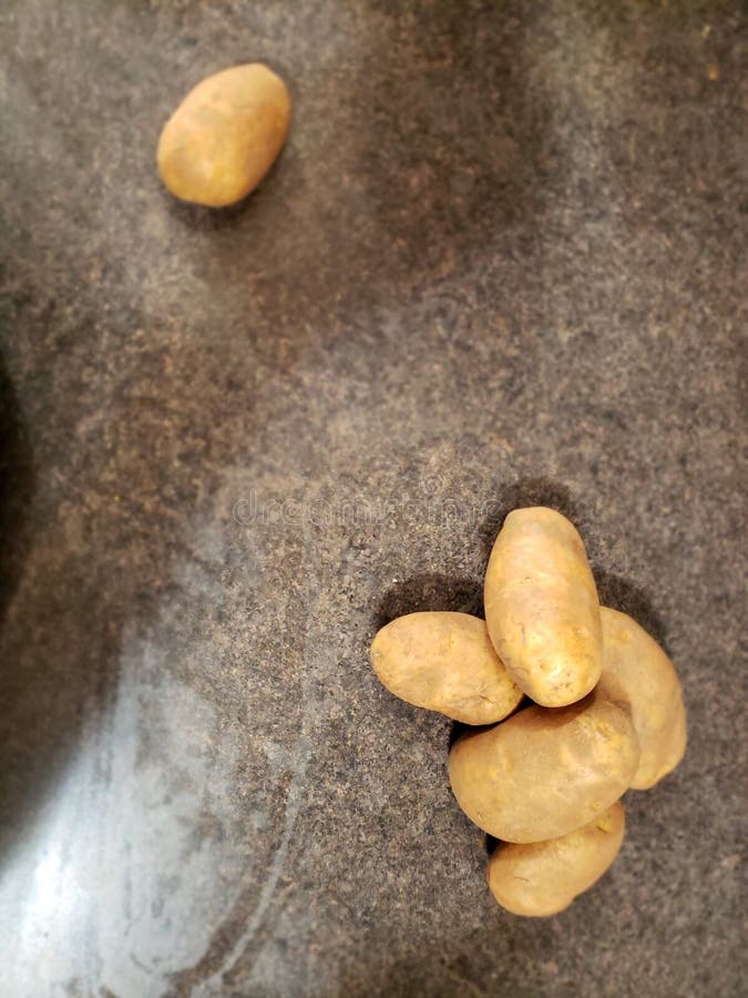 Potatoes on a countertop stock photo. Image of background - 122157278