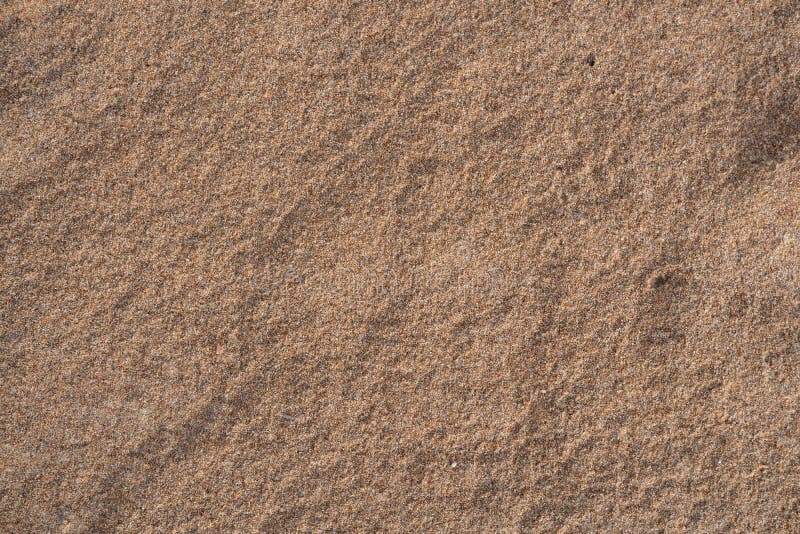 Background Image of a Sandy Beach Texture Stock Photo - Image of beach ...