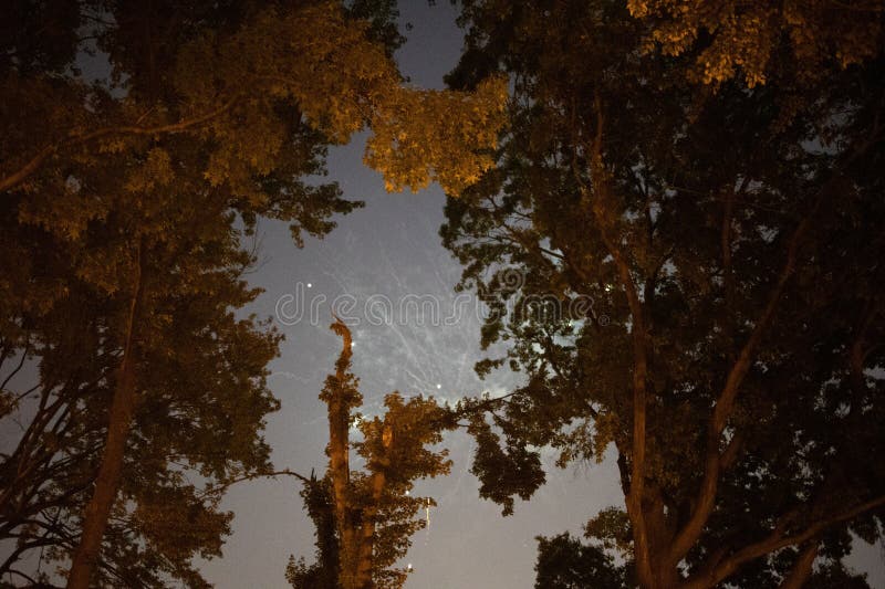 Scenic Night Time Landscape of Trees and People in the Background Stock ...