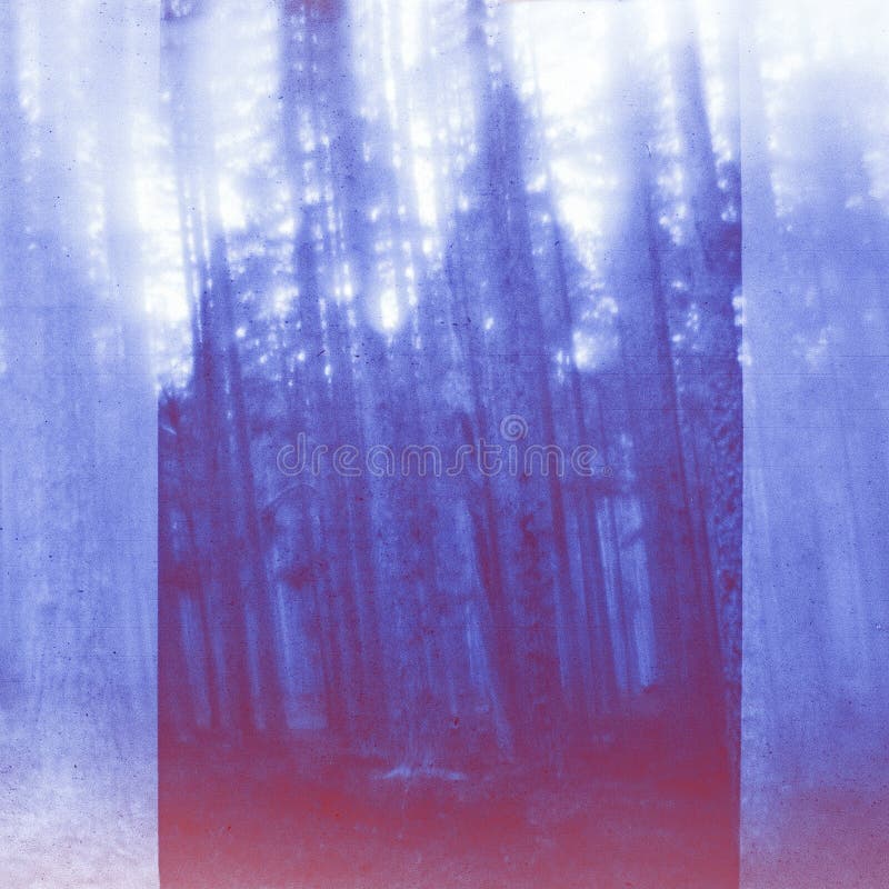Strange forest stock photo. Image of wallpaper, defocus - 169392638