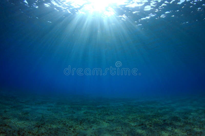 Underwater Background stock image. Image of underwater - 29829635