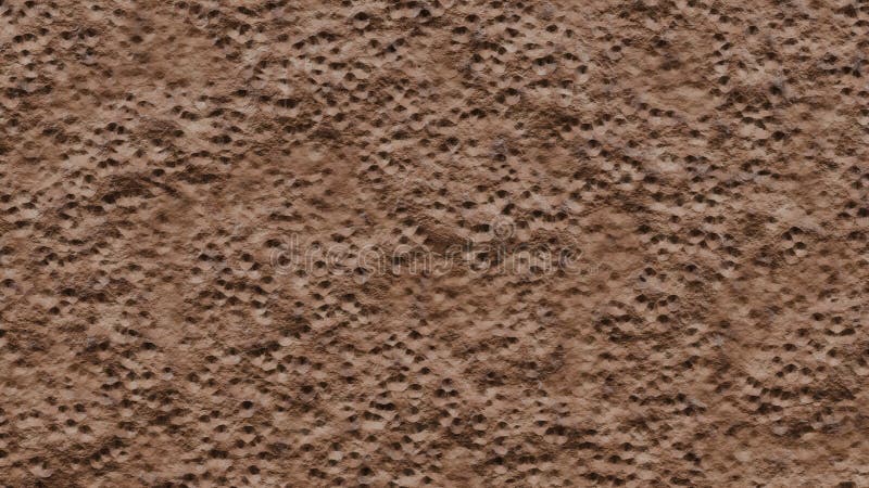 Texture Material Coral Rock 1 Stock Photo - Image of construction ...