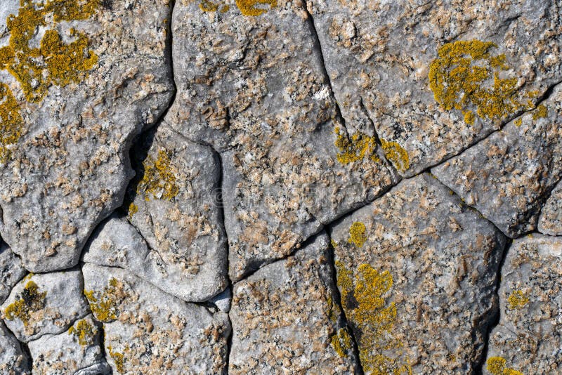 Background Image. Texture of Natural Marble Stone with Lichen Pattern ...