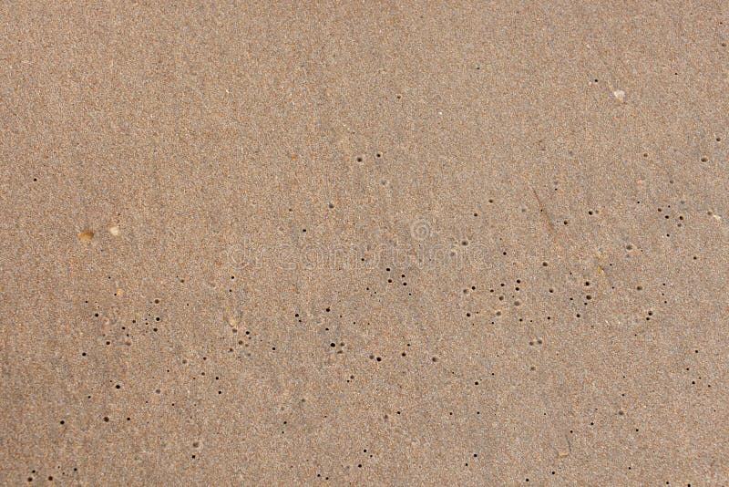 White Sand Beach Top View Photo. Smooth Coral Sand Texture. Seaside ...