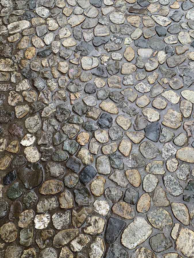 Background Image of a Wet Pavement of Small Pebbles. Texture Background ...