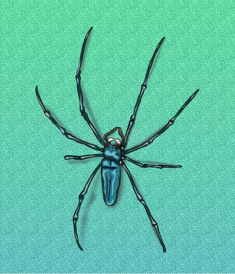 Background Images, Insect Images, Spider Images for Various Projects ...