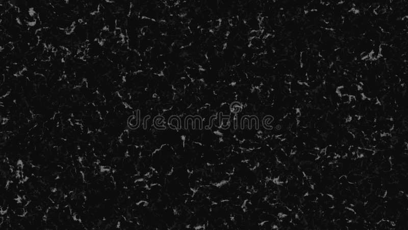 Background with Interference on Black Background. Animation Stock ...