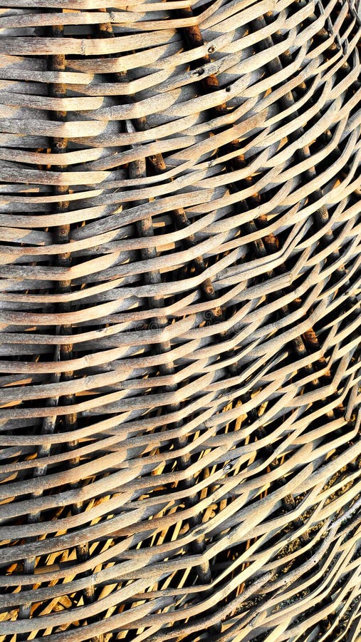 Background of Intertwined Dry Branches, Diagonal Lines, Vertical Frame ...