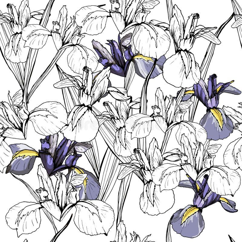 Background from Iris Flowers. Seamless Pattern. Stock Vector ...