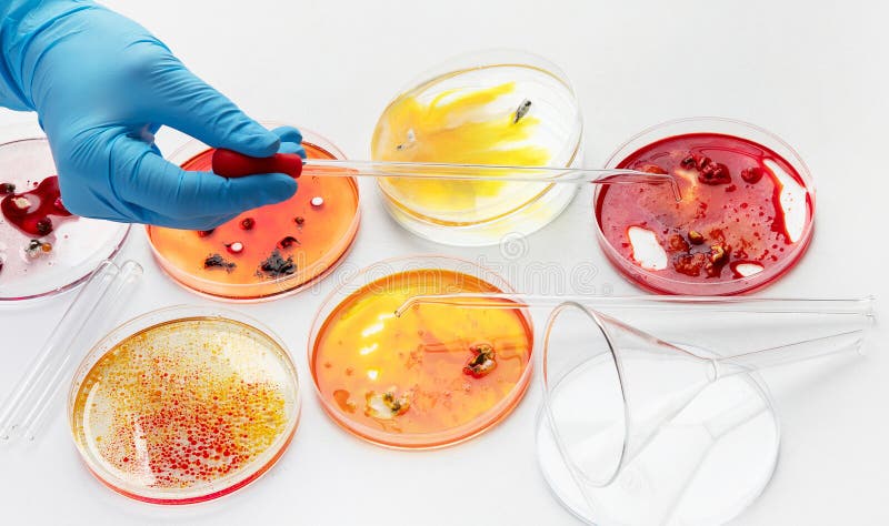 Background with Laboratory Petri Dish. Microbiology Science Stock Photo ...