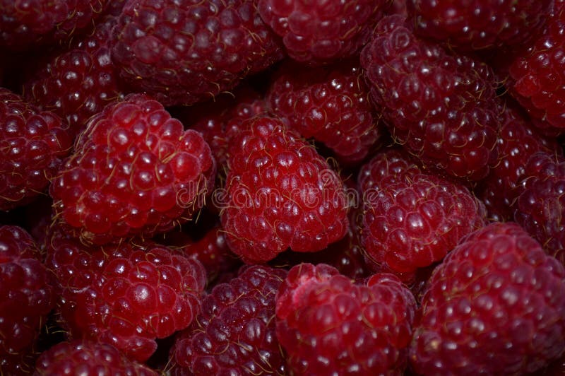 Background of Large Raspberry Berries Stock Image - Image of dessert ...