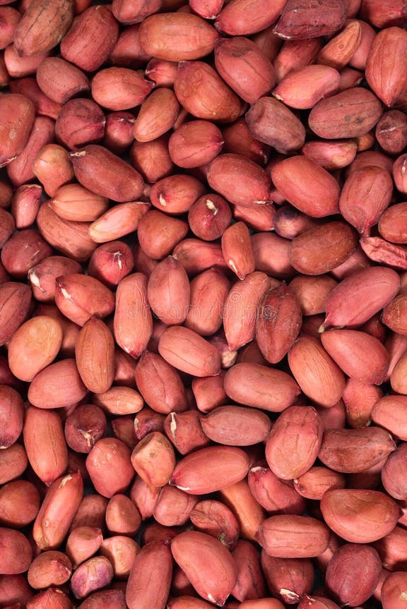 Background of Large Raw Peanuts. Whole Dried Peanuts in Shell Stock ...