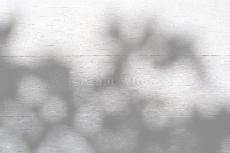 Background with Leaves Natural Shadow on Wooden Texture Stock Image ...