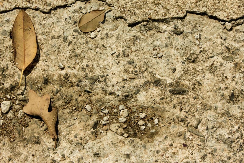 Background of Leaves Rocks and Stone Stock Photo - Image of leaves ...