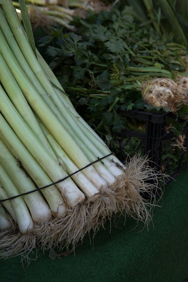Background of Leek Vegetables. High Quality Photo Stock Photo - Image ...