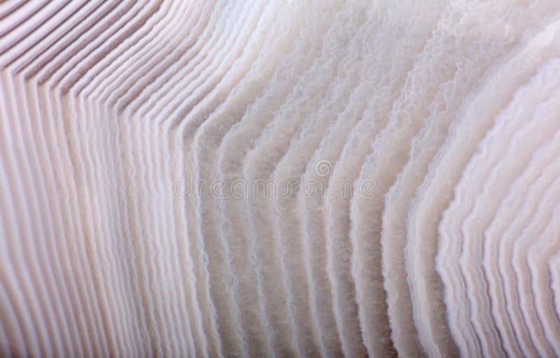 Light Agate Waves Texture Macro Stock Photo - Image of rock, grey ...