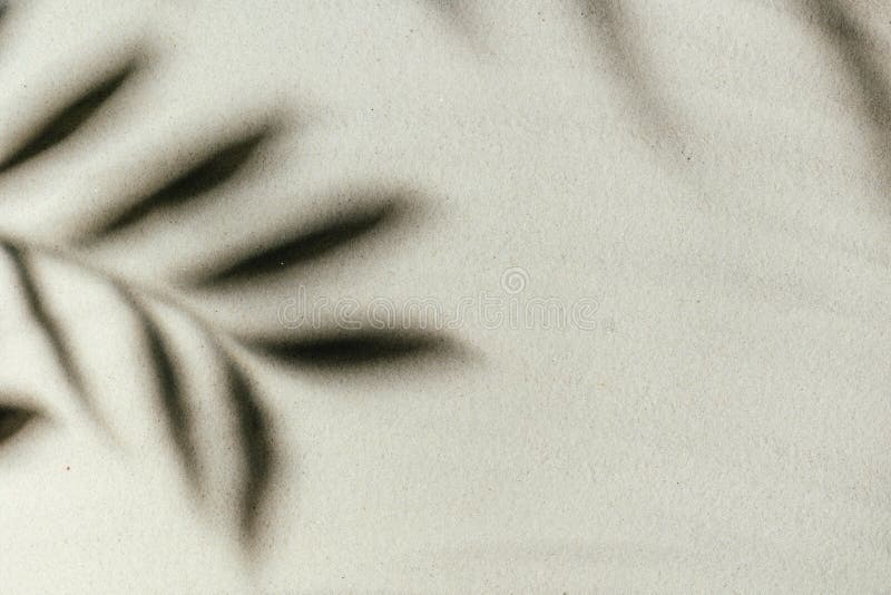 Background of Light Beach Sand with Space for Text. Stock Photo - Image ...