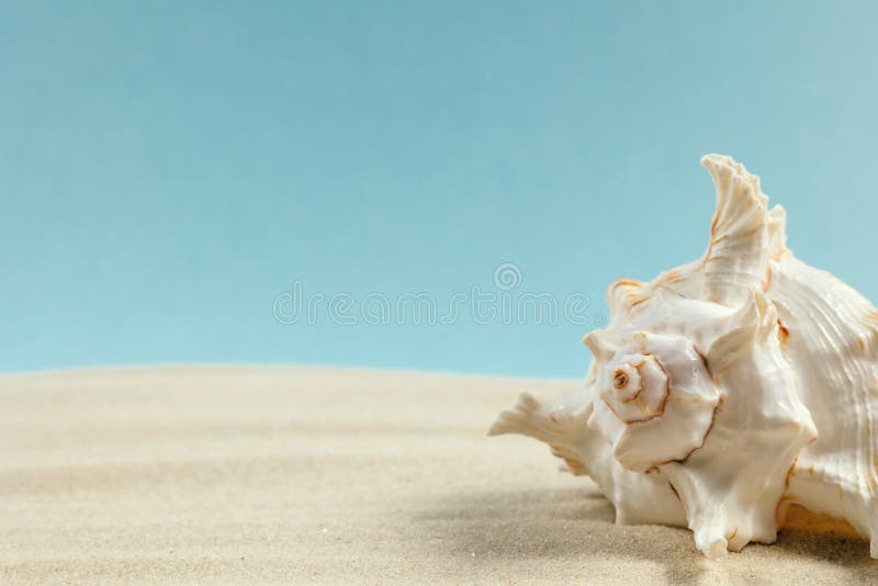 Background of Light Beach Sand with Space for Text. Stock Image - Image ...