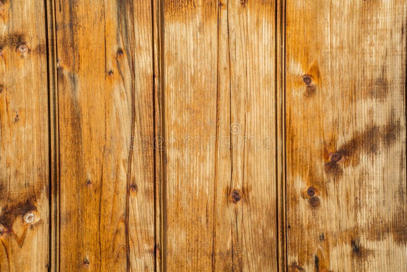 Background from Light Brown Color Boards Made of Pine Wood Stock Image ...