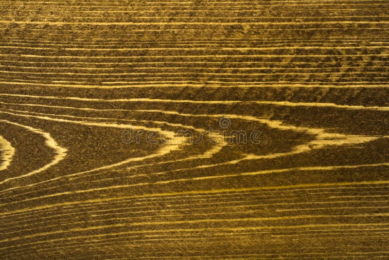 Background of Light Brown Color from a Tree Close-up Stock Image ...