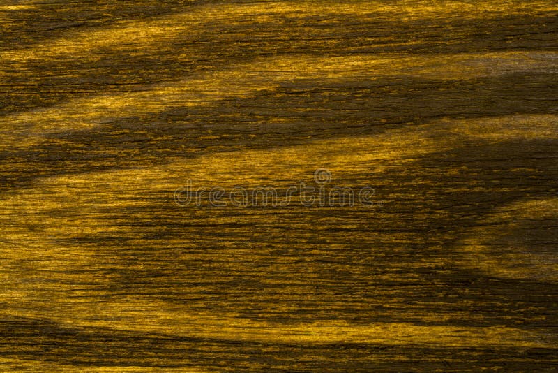Background of Light Brown Color from a Tree Close-up Stock Image ...