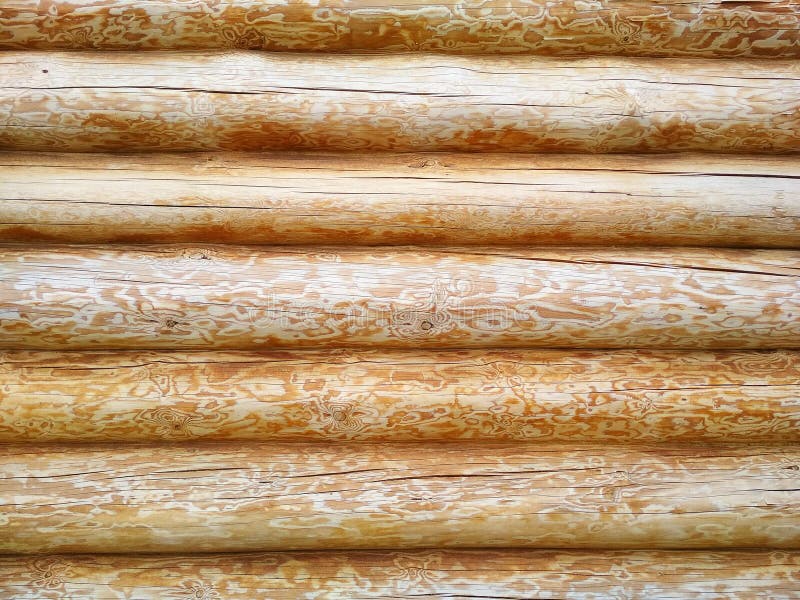 Background of Light-colored Pine Logs Stock Photo - Image of pattern ...