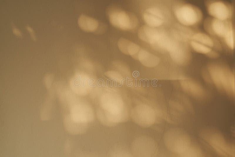 Background of Sunlight and Shadow on the Wall Stock Image - Image of ...