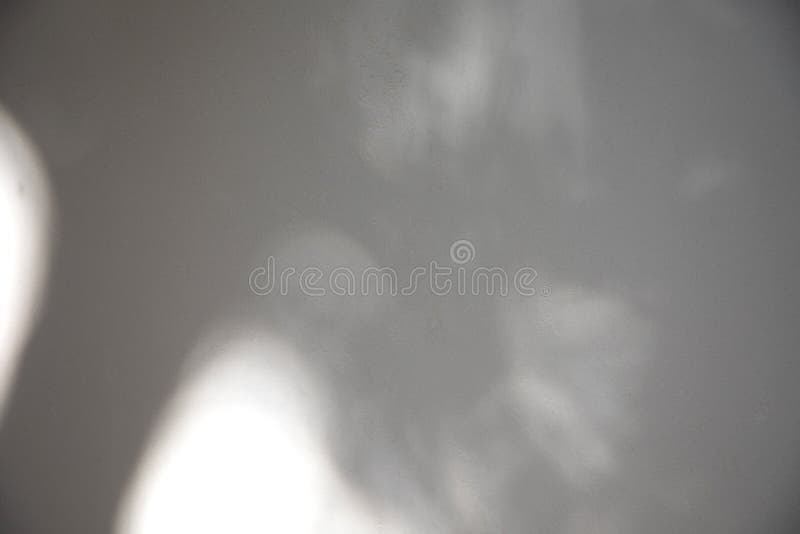 Background, Light Wall in Decorative Plaster with Shadows from Sunlight ...