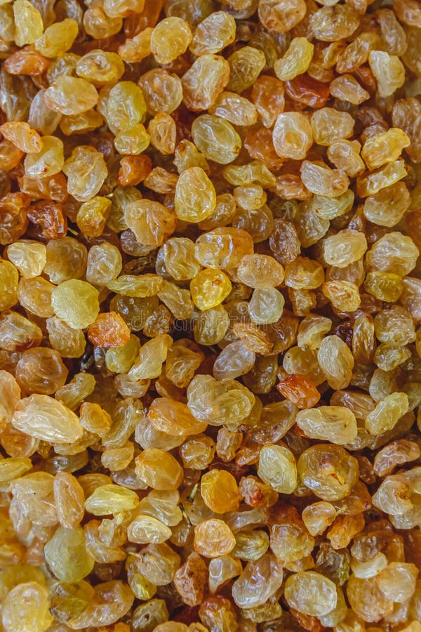 Raisins close up image stock photo. Image of isolated - 221688200