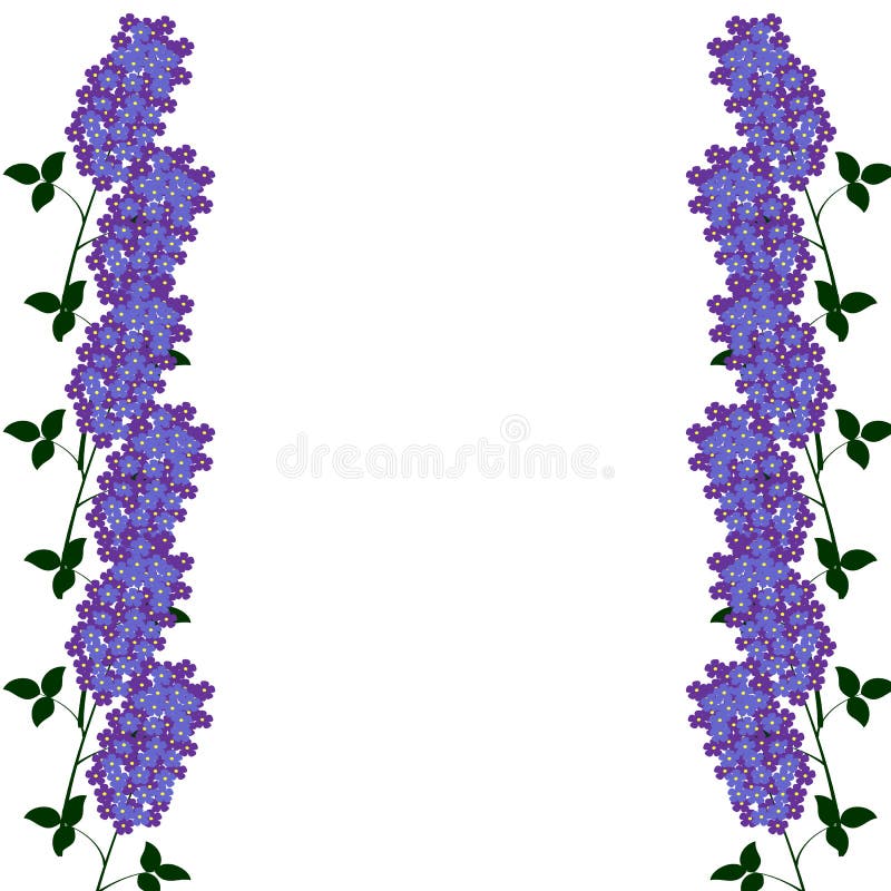 Lilac Flower Border Stock Illustrations – 3,405 Lilac Flower Border ...