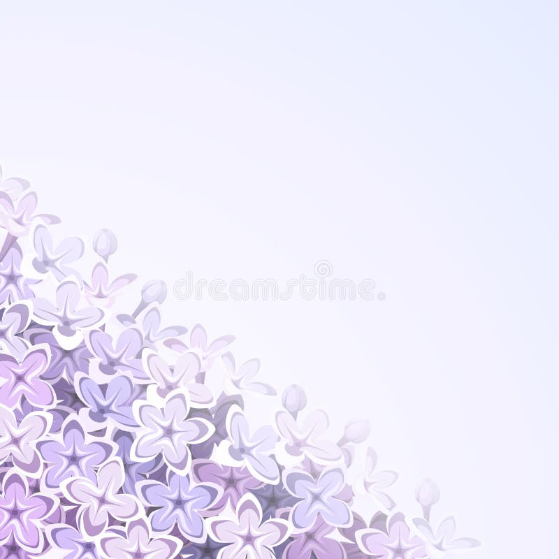 Background with Lilac Flowers. Vector Illustration. Stock Vector ...