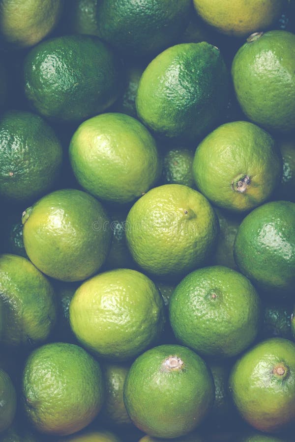 Background of a Lime Tree stock photo. Image of abstract - 9869434