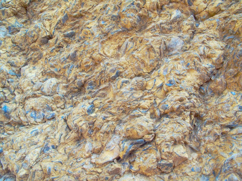 22,170 Prehistoric Background Stock Photos - Free & Royalty-Free Stock ...