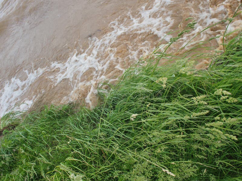 Background - Riverbank with Green Grass and Rapidly Running Water ...
