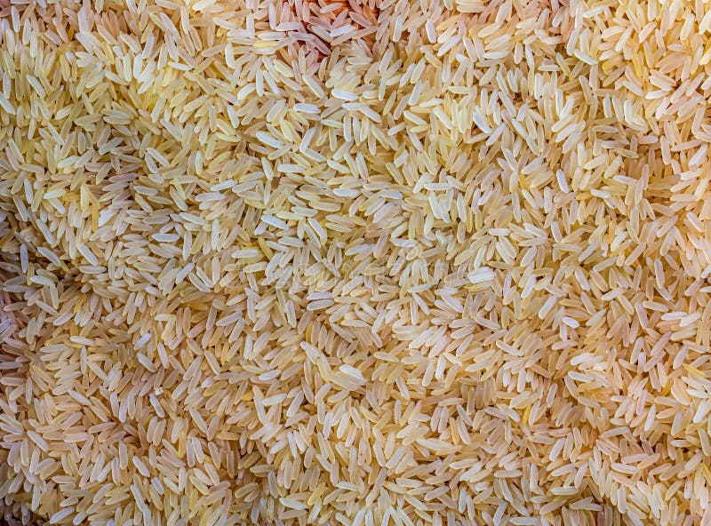 Background of Long Grain Parboiled Uncooked Rice. Rice Groats As ...
