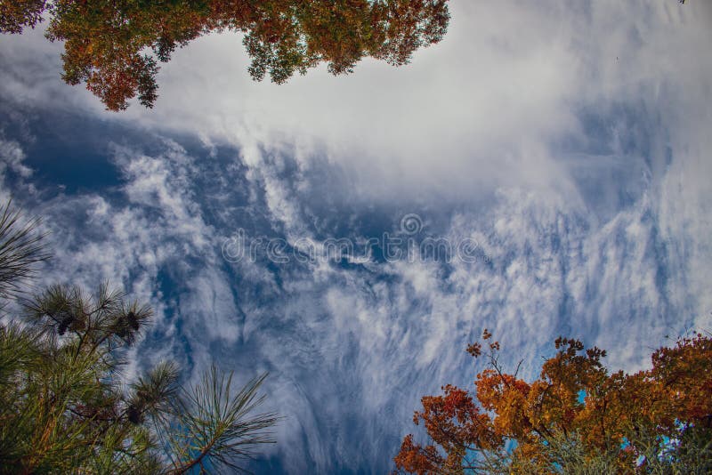 Background - Looking Up at Dramatic Intense Blue Sky Marbled with White ...