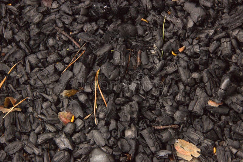 Background Lot of Carbon from the Burnt Fire Stock Image - Image of ...