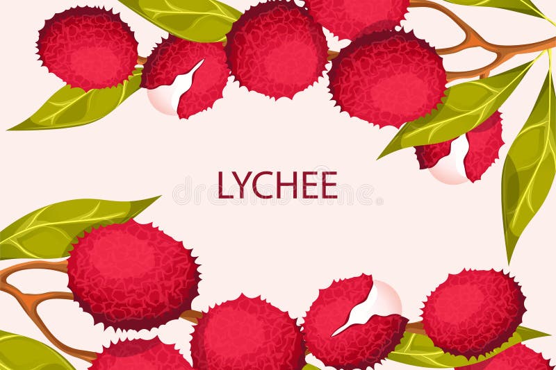 Background with Lychee Fruit.a Web Banner with Ripe, Juicy Lychee ...