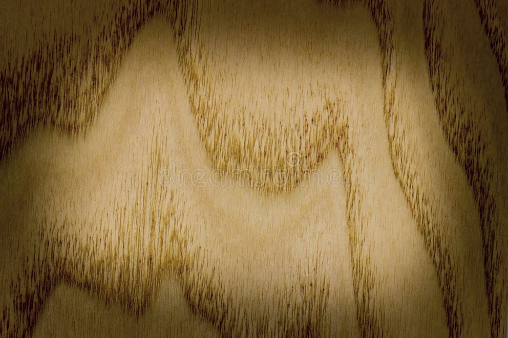 Background is Made of Old Light Wood. an Old Board. the Texture of a ...