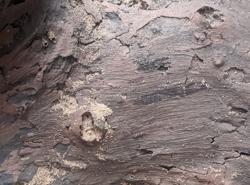 A Background Made of Weathered Wood Forms a Very Unique and Artistic ...