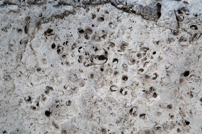 The Background is Made of White Karst Rocks with a Beautiful Pattern of ...