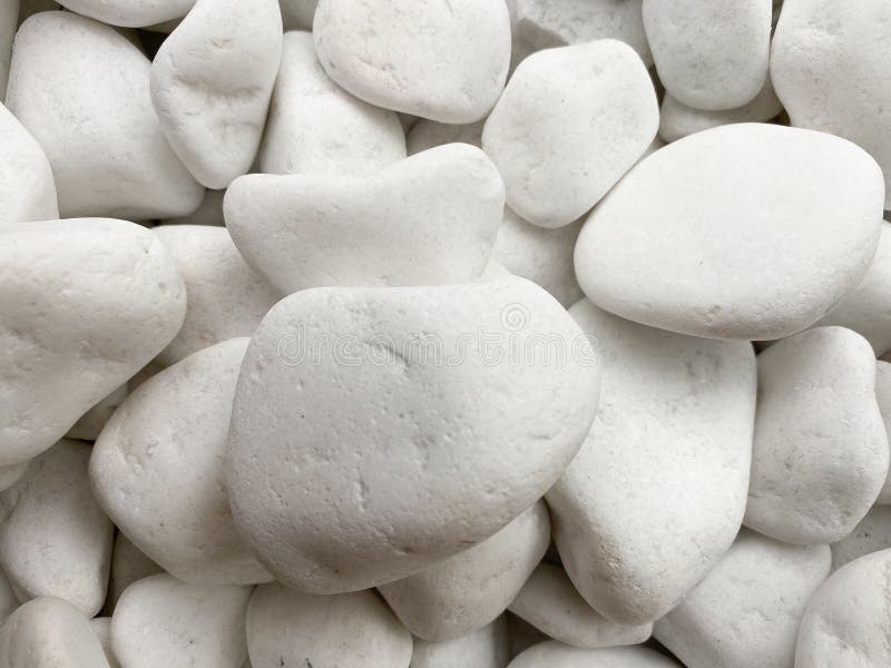 The Background is Made of White Smooth Pebbles of White Color. Textured ...