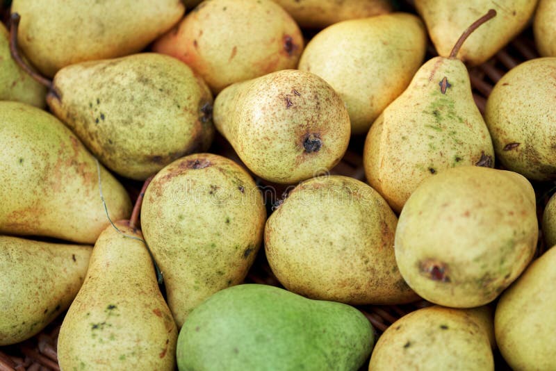 Background Made from the Yellow Country Ripe Pears Stock Photo - Image ...