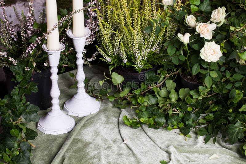 Background with Magic Plants from the Garden Stock Image - Image of ...